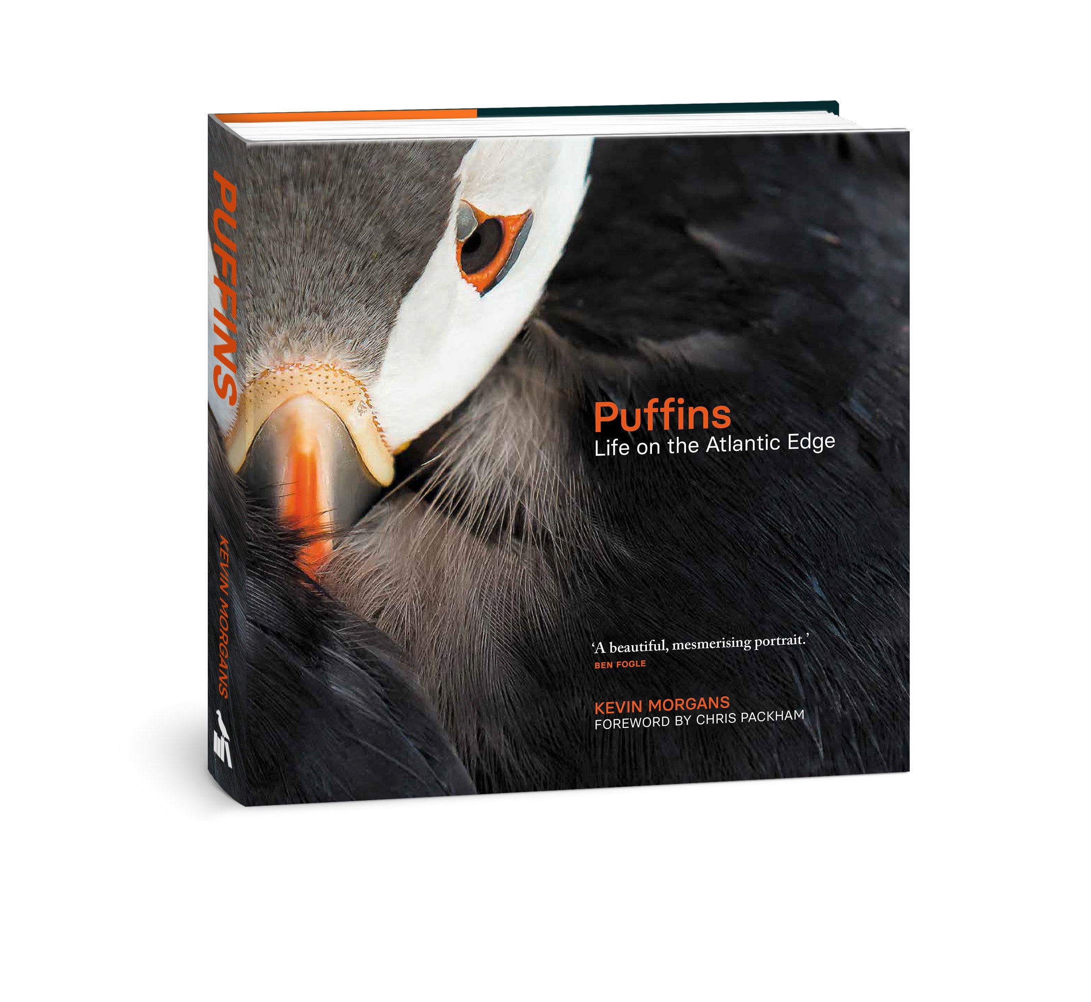 Puffins, by award-winning photographer Kevin Morgans | Sandstone Press shop
